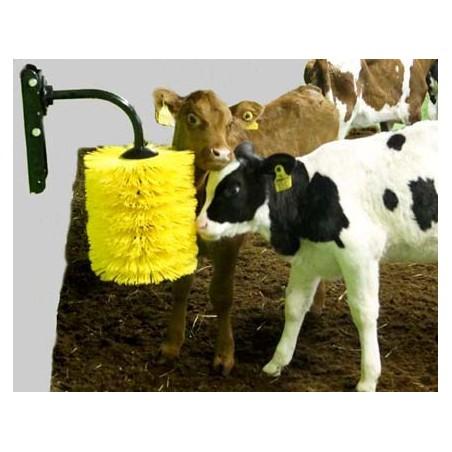 Brosse À Vache Easy Swing Mini